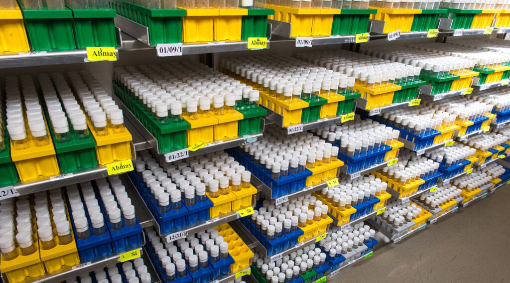 Fly Stocks | Stowers Institute for Medical Research