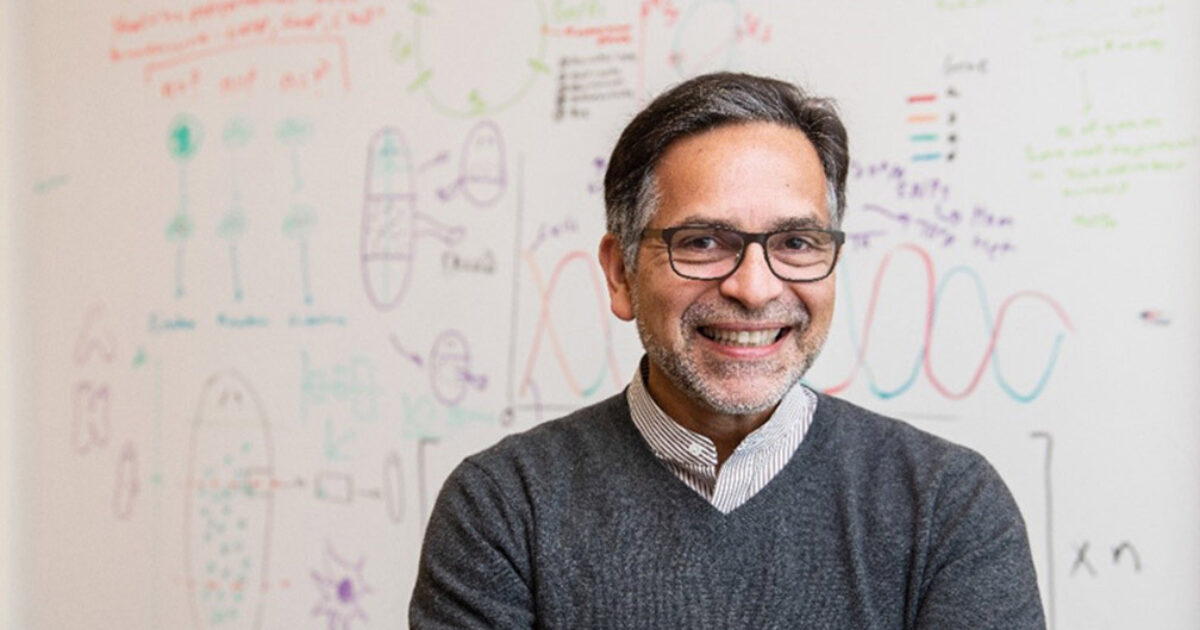 Alejandro Sánchez Alvarado… | Stowers Institute for Medical Research