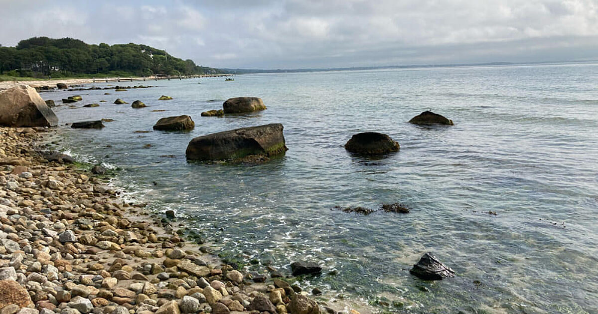 A lab with a view | Stowers Institute for Medical Research