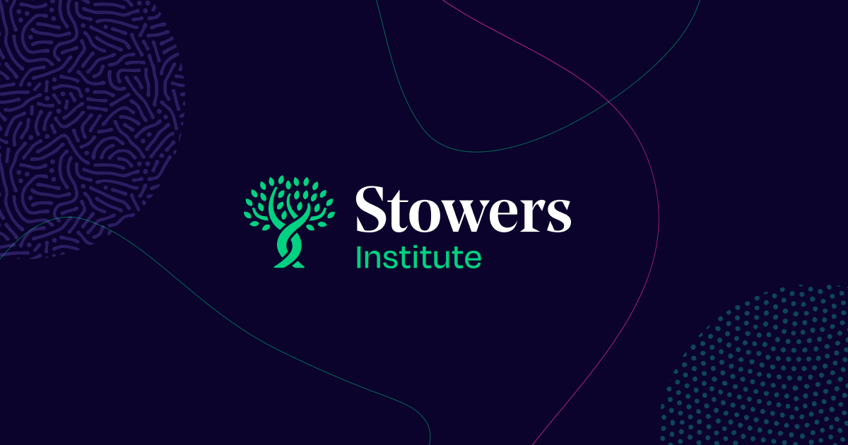 Stowers Institute for Medical Research | Our Research Campus