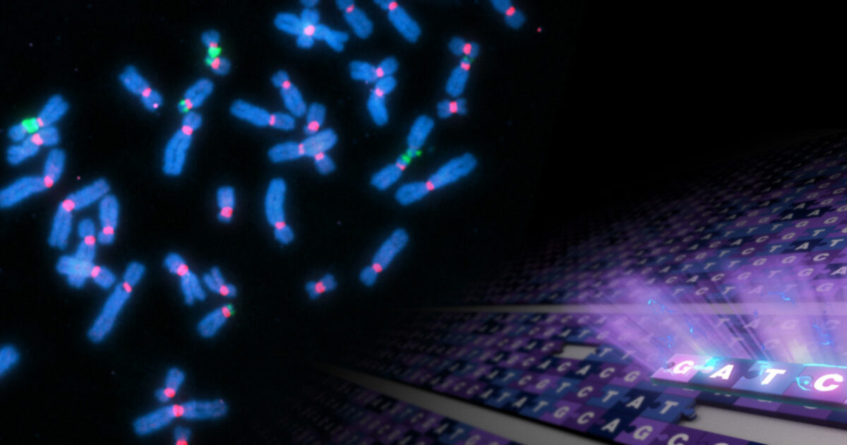 Completing the sequence -… | Stowers Institute for Medical Research