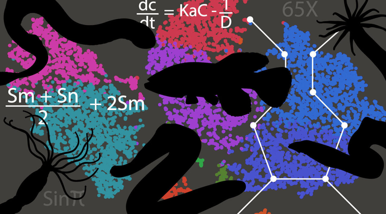 Stowers Institute for Medical Research | Technology Centers
