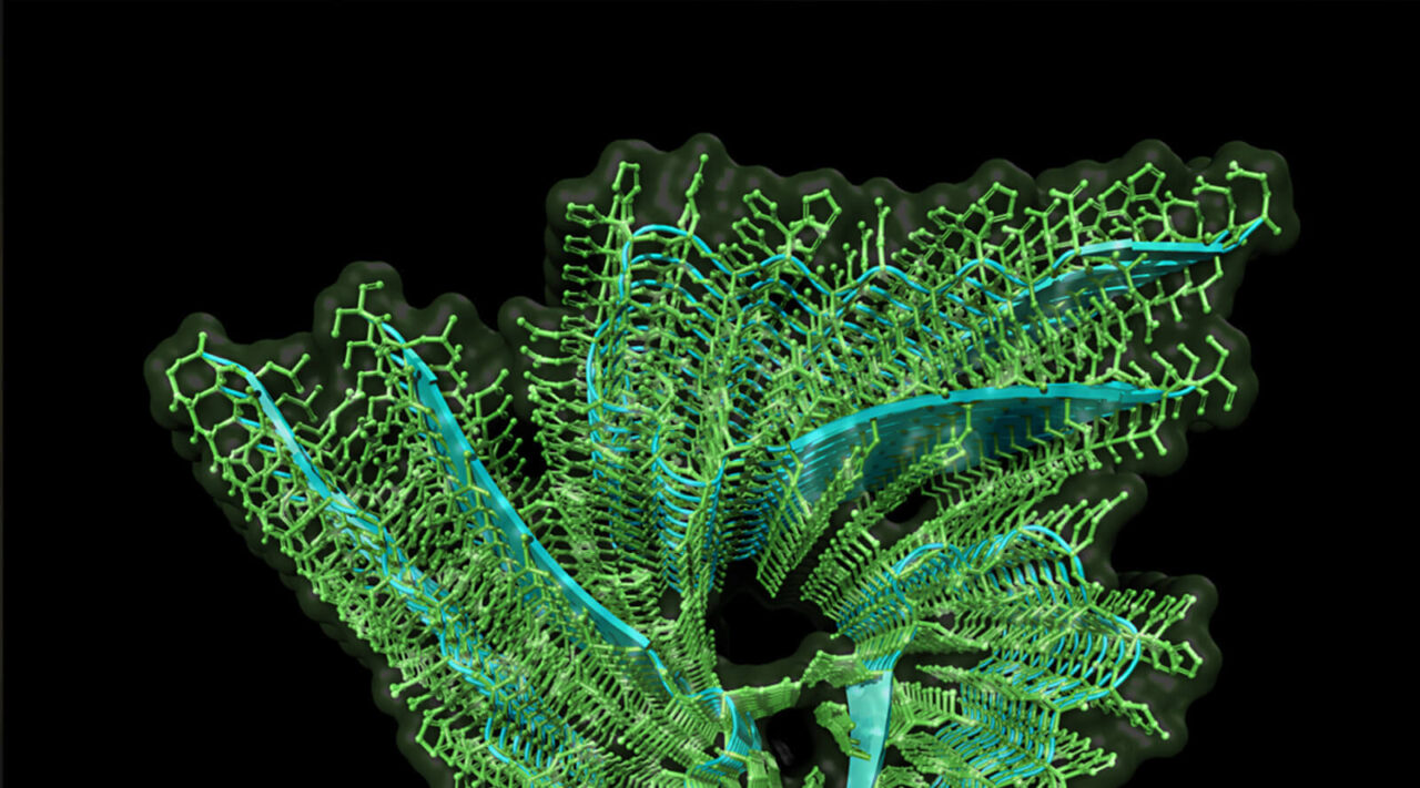 Si Lab | Stowers Institute for Medical Research
