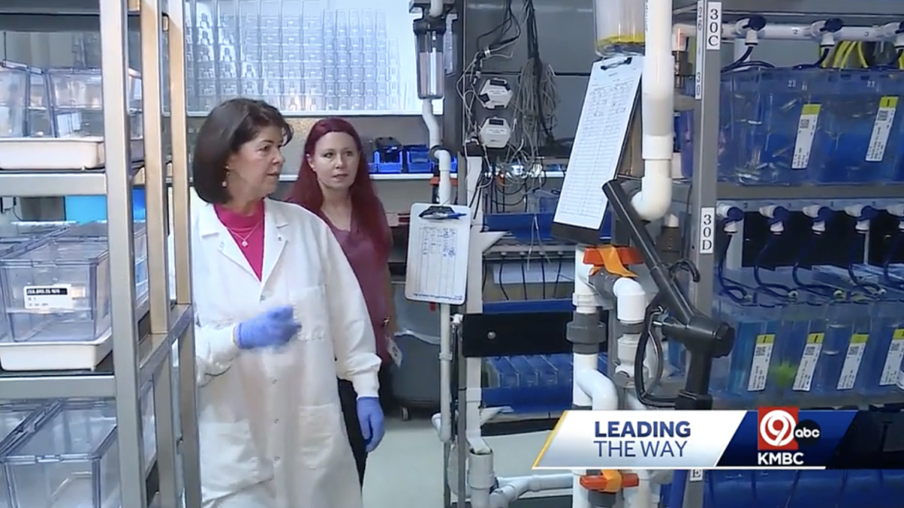 Home | Stowers Institute for Medical Research