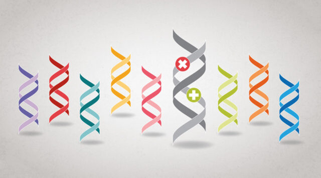 Zanders Lab | Stowers Institute for Medical Research