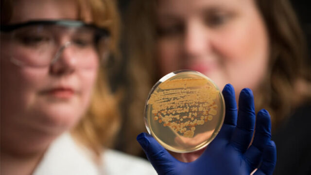 The case for curiosity: why… | Stowers Institute for Medical Research