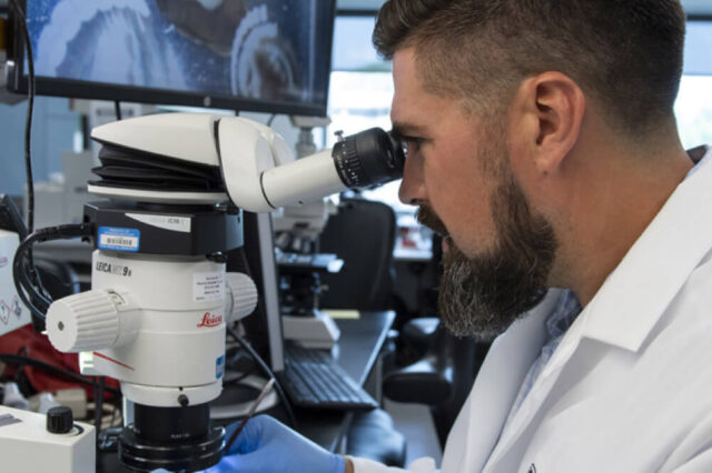 Stowers Institute for Medical Research | Postdoc Training Overview