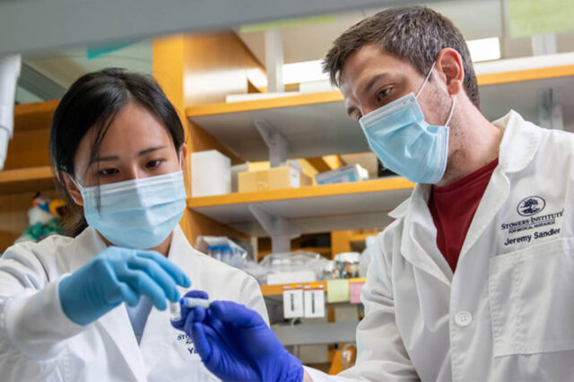 Stowers Institute for Medical Research | Postdoc Training Overview