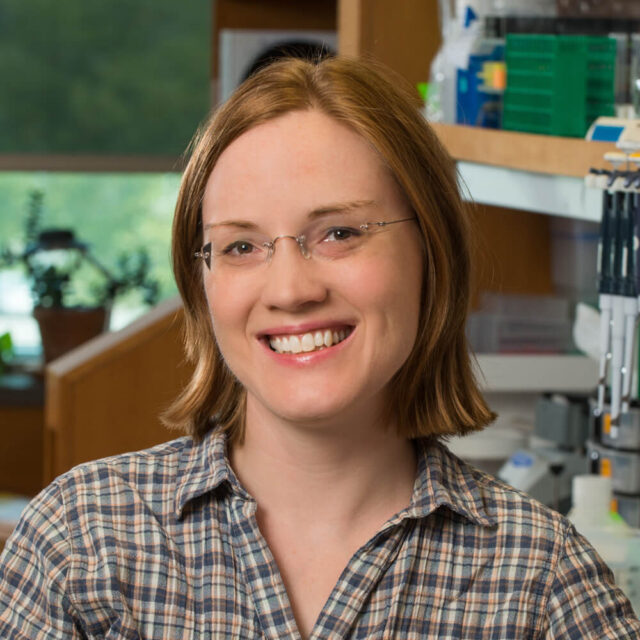 Zeitlinger Lab | Stowers Institute for Medical Research