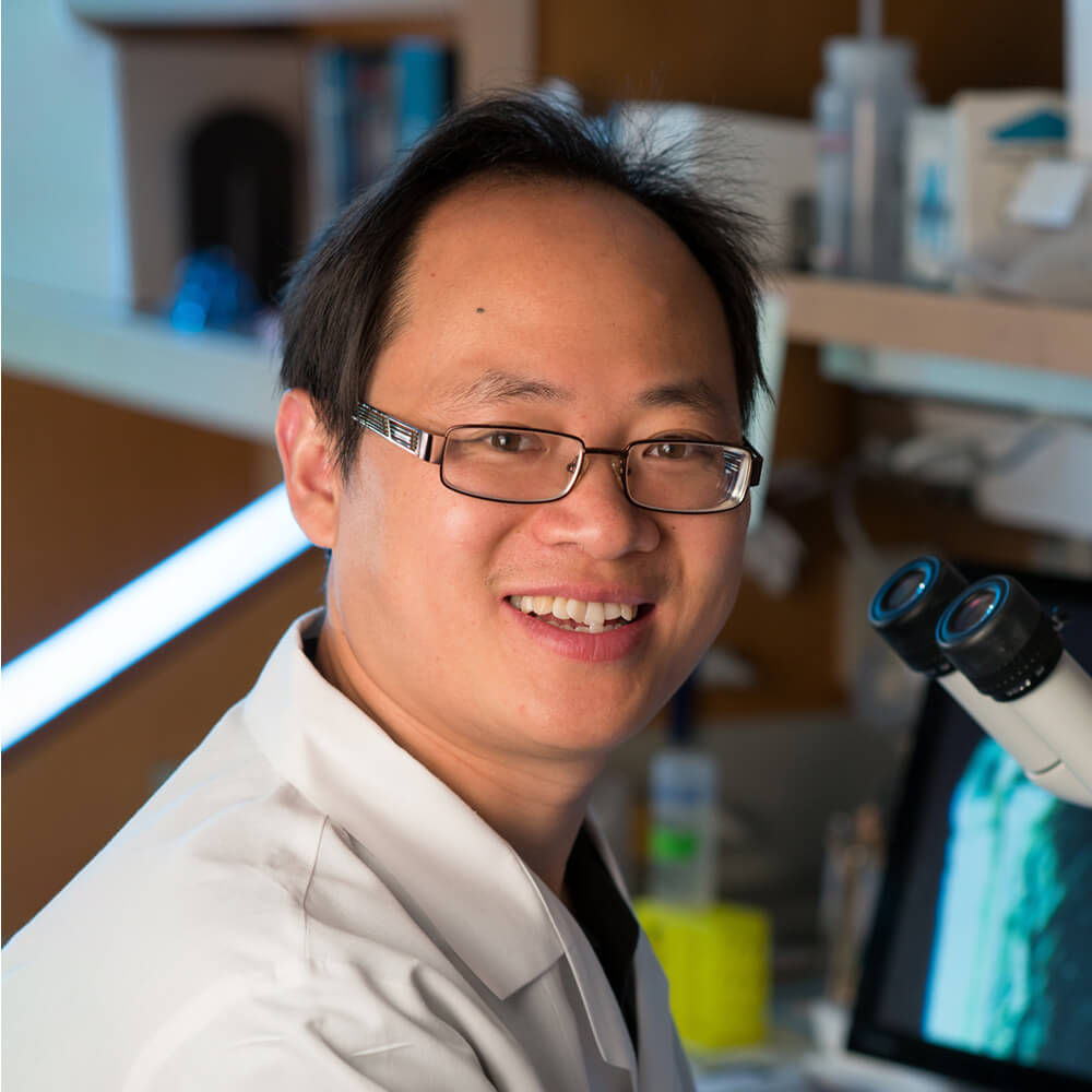 Histology | Stowers Institute for Medical Research